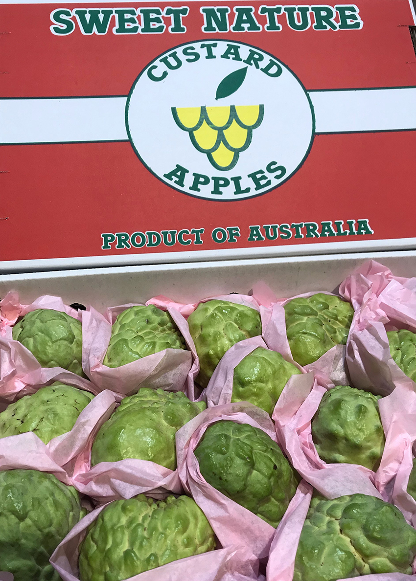 Home | Jadefruit Custard Apples